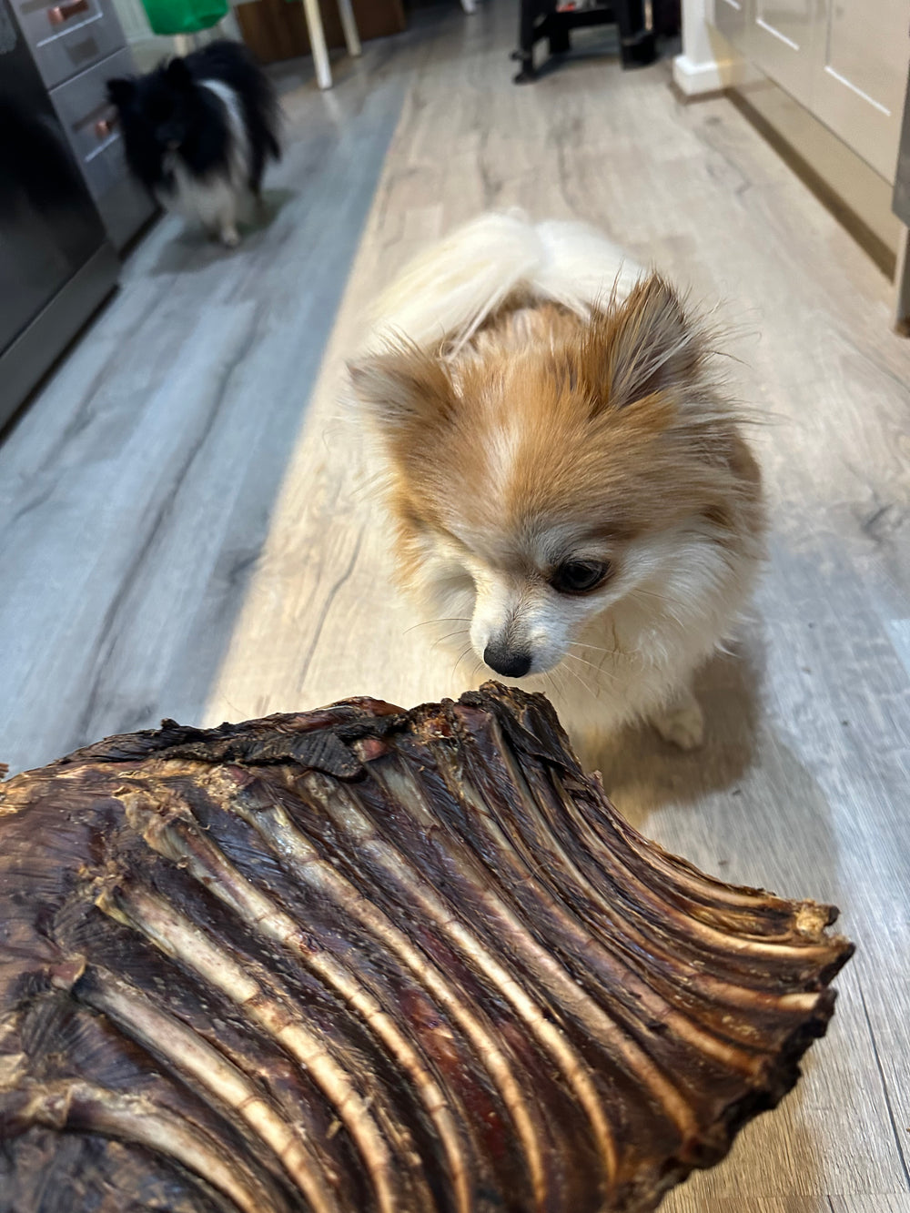 Just Kangaroo Rib Racks – Life In The Outback